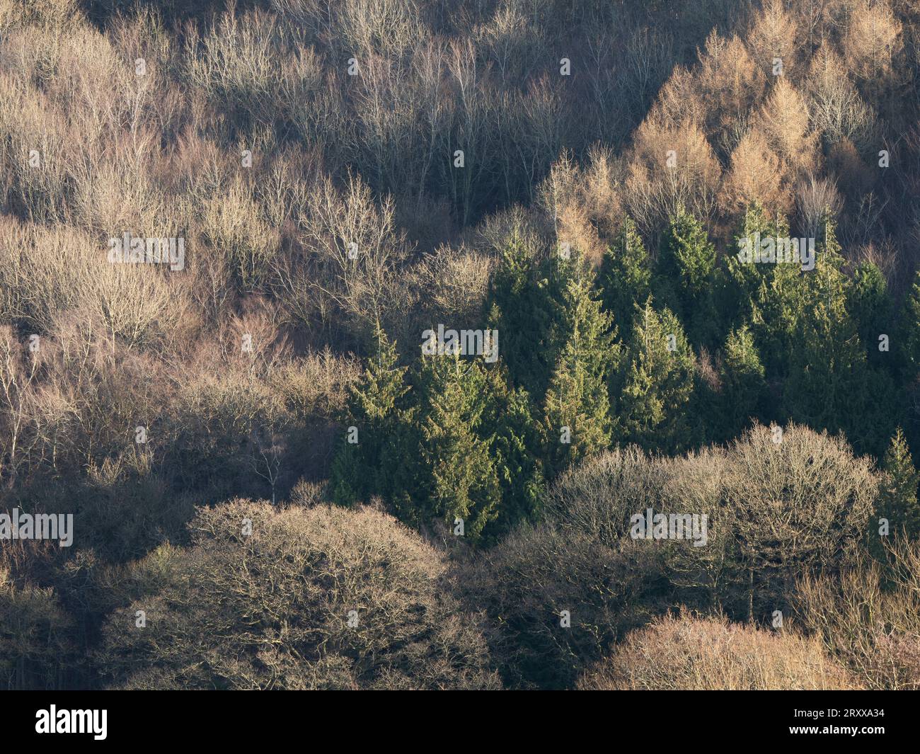 Wenlock edge in winter hi-res stock photography and images - Alamy