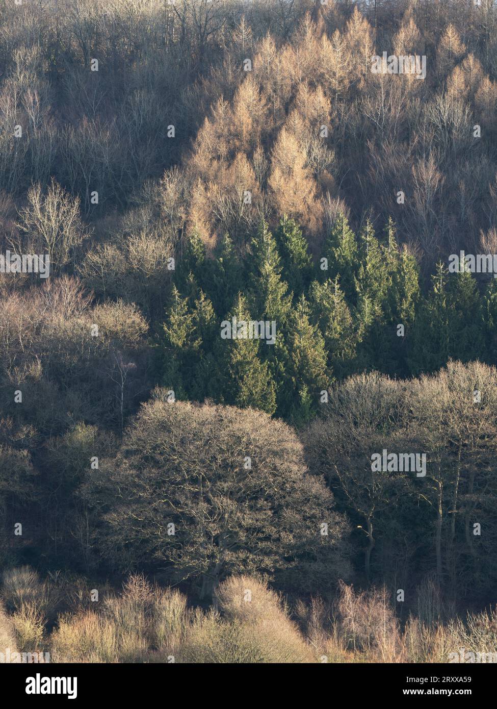 Wenlock edge in winter hi-res stock photography and images - Alamy