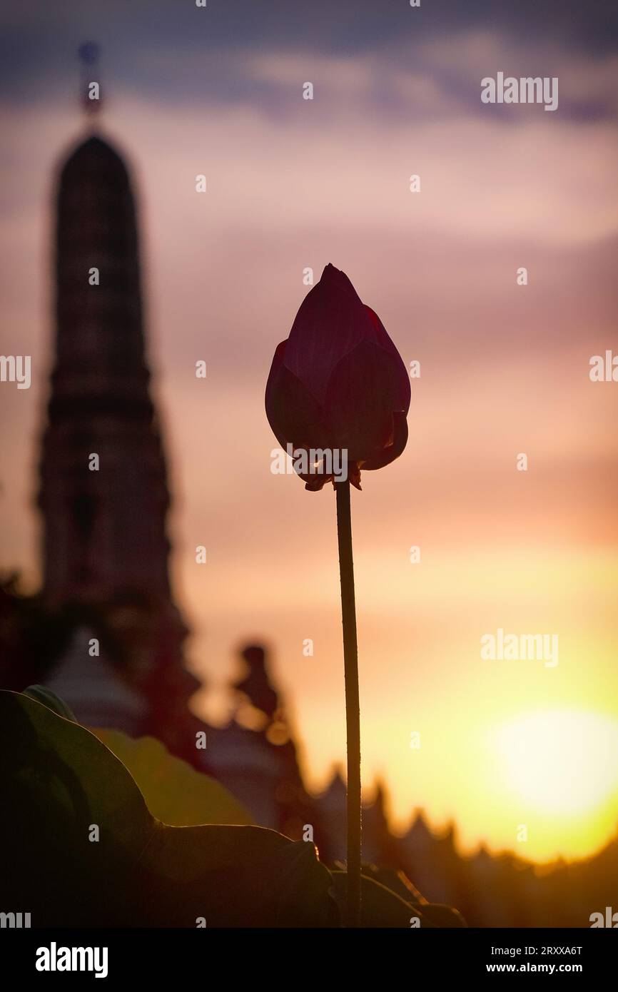 Hazy background hi-res stock photography and images - Alamy