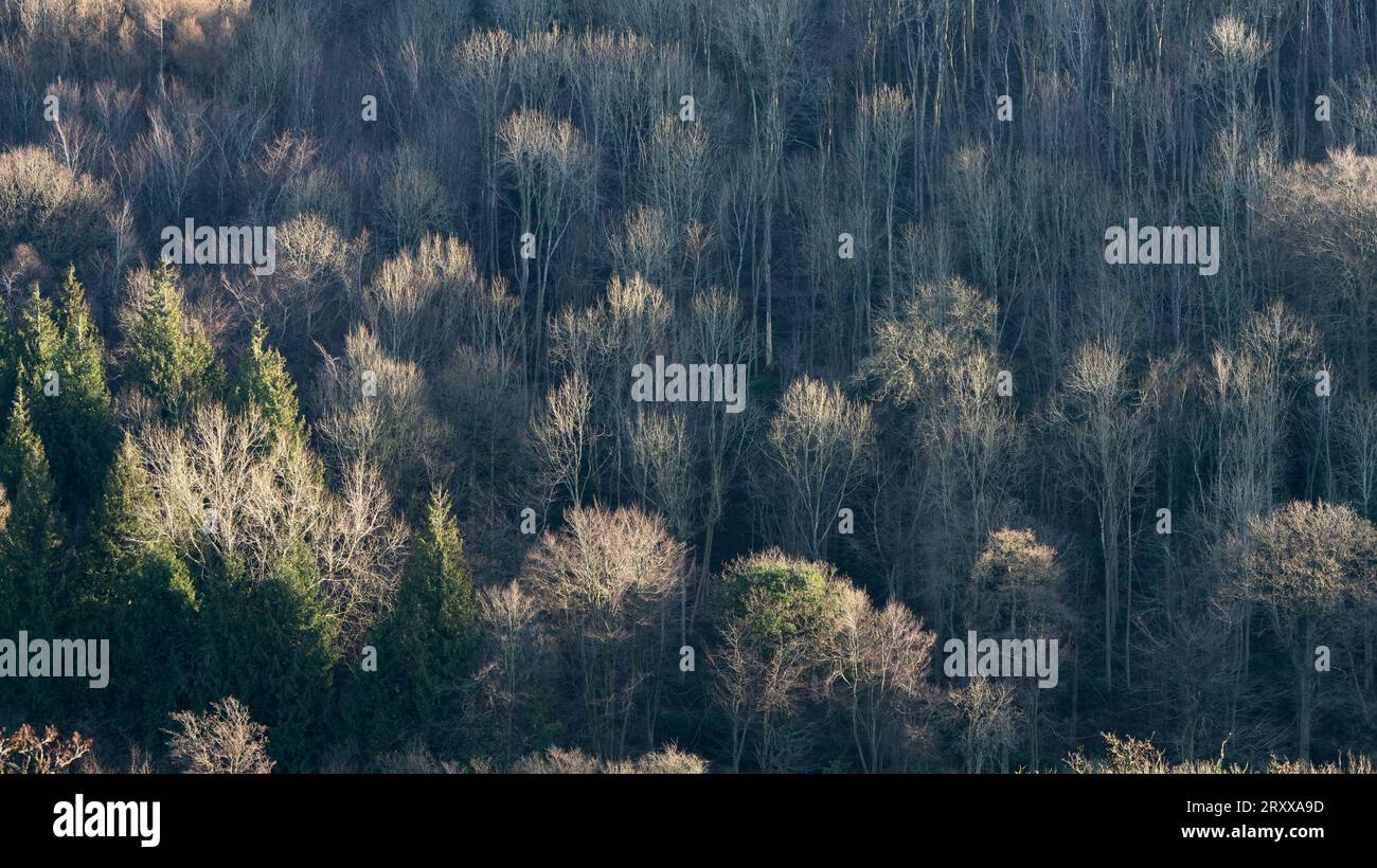 Wenlock edge in winter hi-res stock photography and images - Alamy