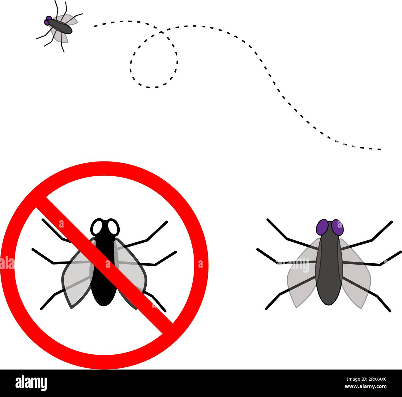 A fly flying, interdiction of fly with a white background Stock Vector ...