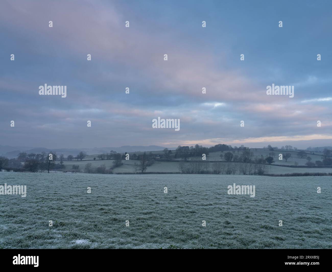 The Clun Valley viewed from the top of View Edge, Onibury, Shropshire ...
