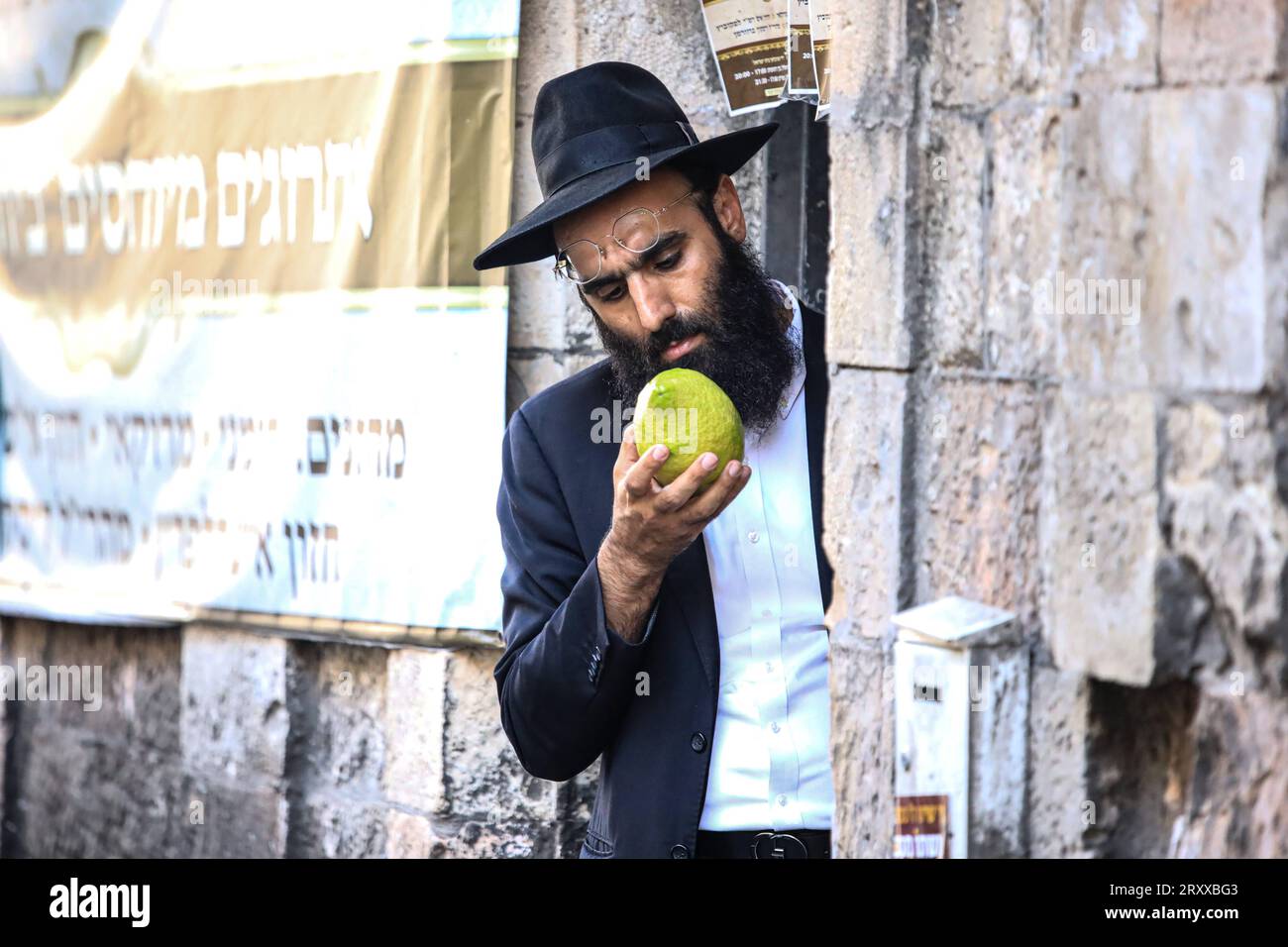 Sukkot preparations in Jerusalem Orthodox Jewish man inspects an Etrog ...