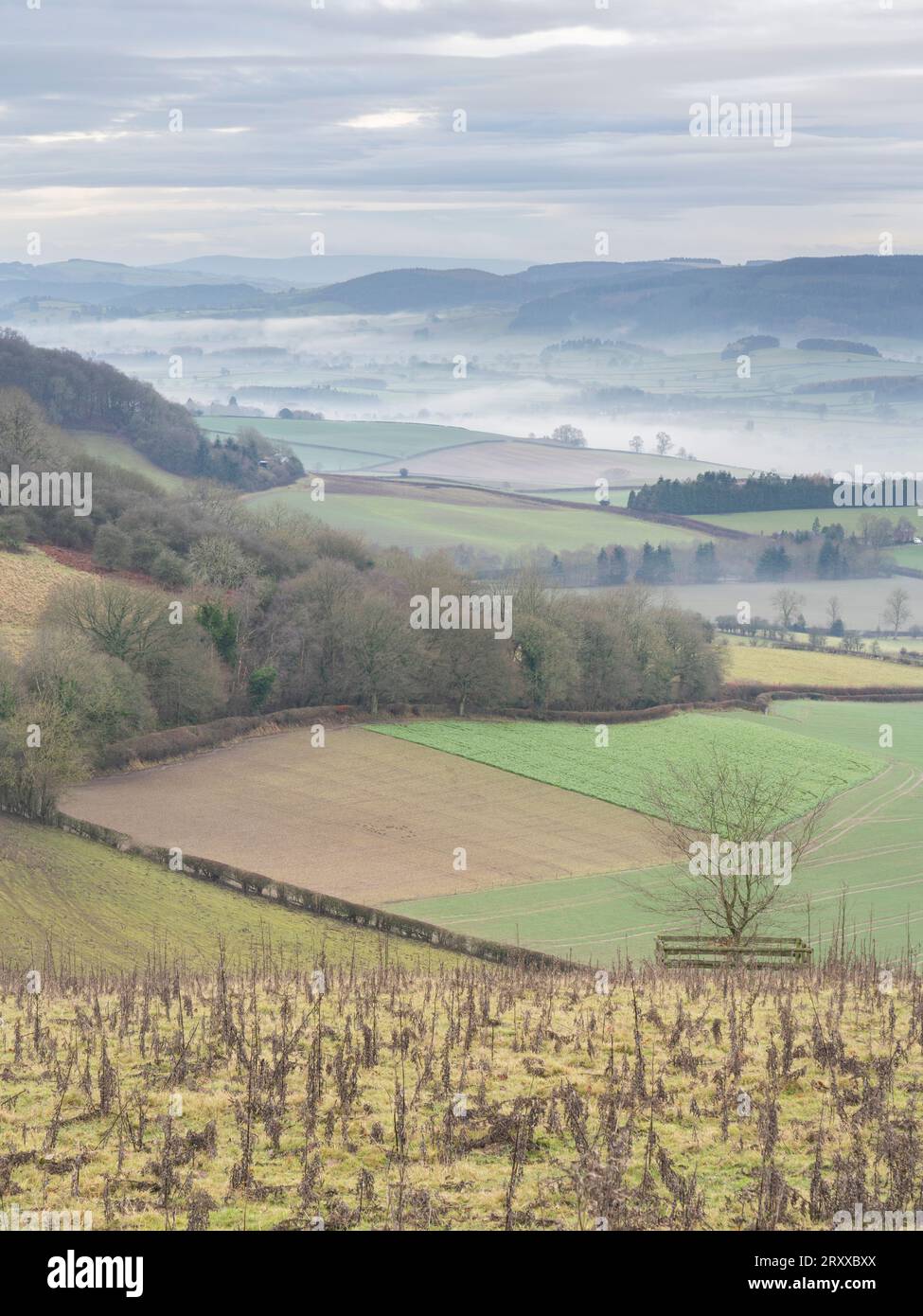 Morning mist hanging over the Clun Valley in South Shropshire, England ...