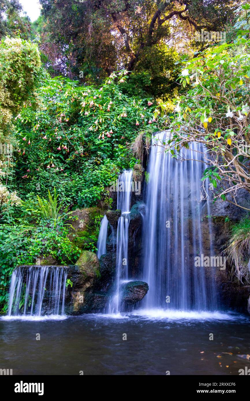 Picturesque Waterfall in California surrounded by wild flowers and ...