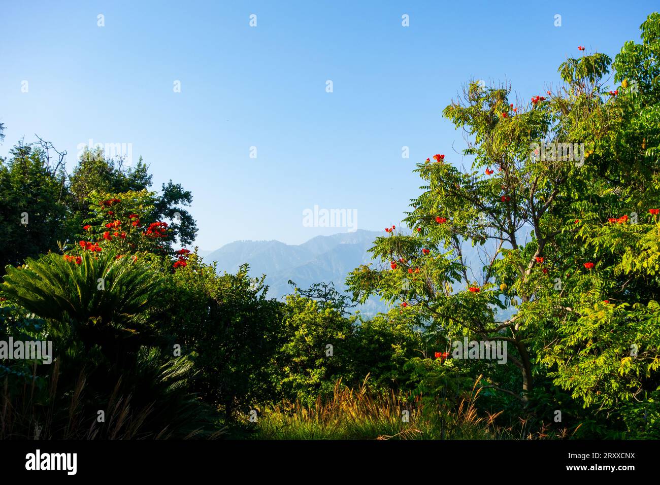 Angeles National Forest and the San Bernardino Mountains in the ...