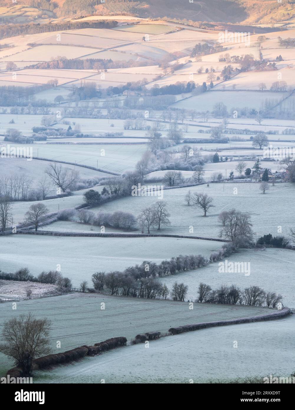 The Clun Valley viewed from the top of View Edge, Onibury, Shropshire ...