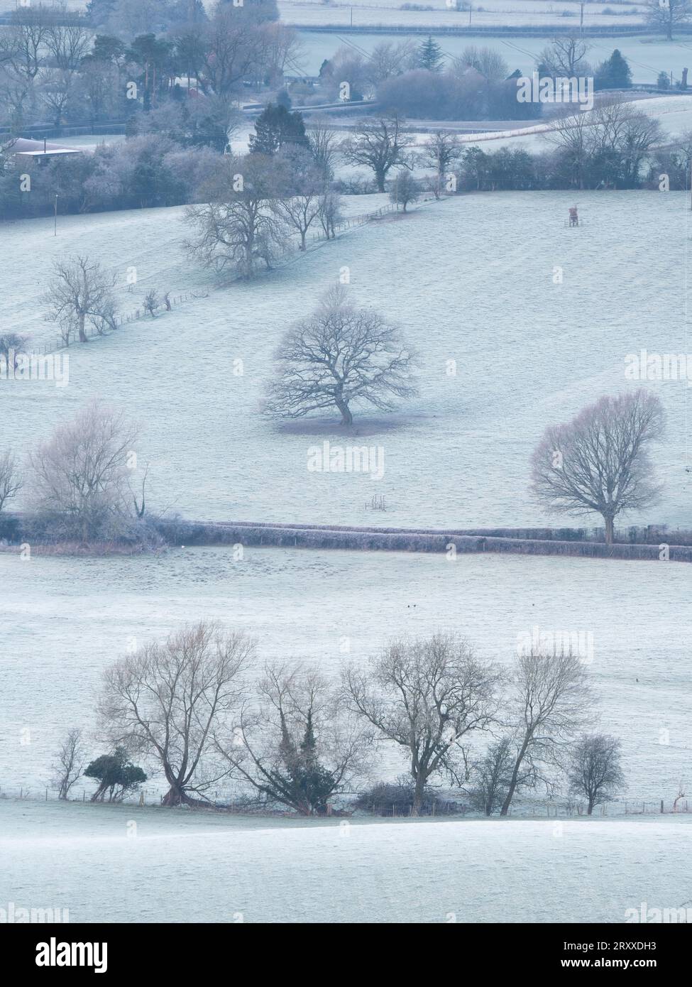 The Clun Valley viewed from the top of View Edge, Onibury, Shropshire ...