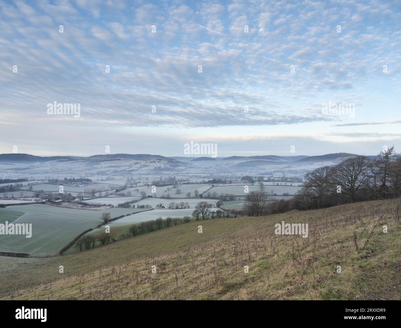 The Clun Valley viewed from the top of View Edge, Onibury, Shropshire ...