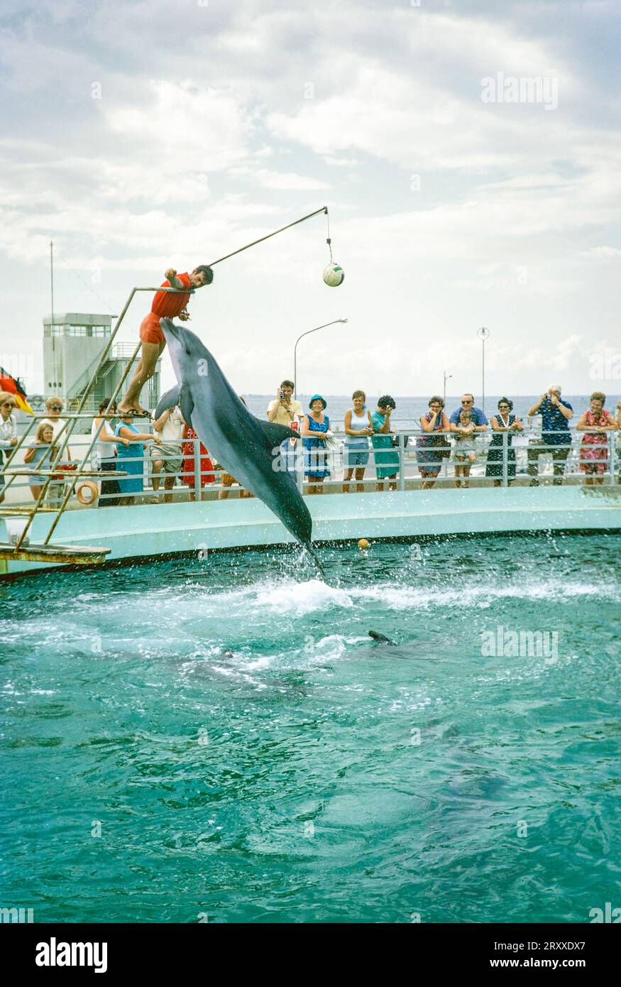 Dolphin performance at dolphinarium on the marina, Rimini, Adriatic ...