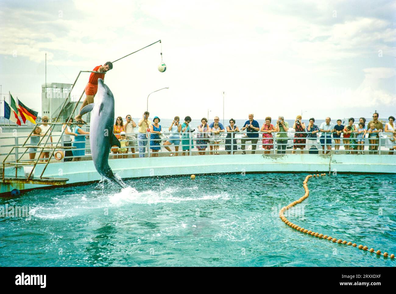 Dolphin performance at dolphinarium on the marina, Rimini, Adriatic ...