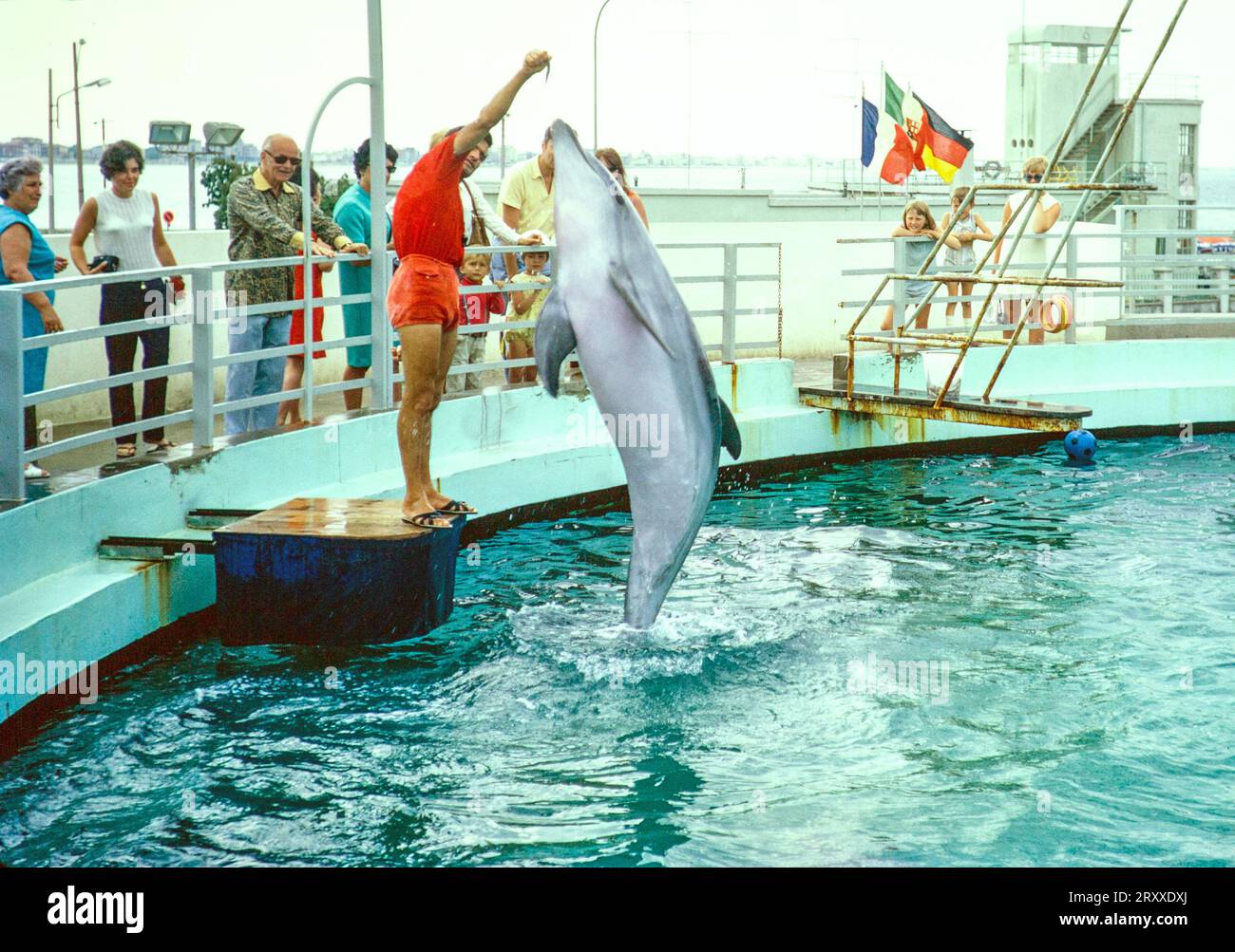 Vintage dolphin show hi-res stock photography and images - Alamy