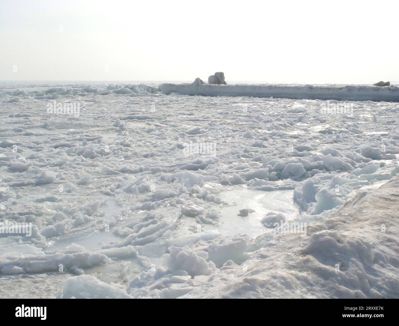 Frozen sea with ice floes and snowdrifts on the horizon, an icy pier ...