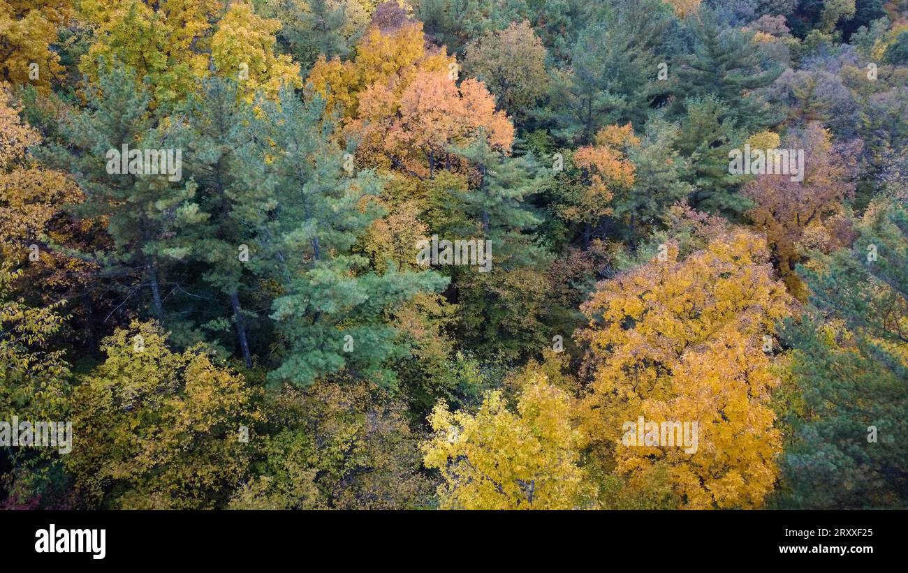 Fall wood from above landscape hi-res stock photography and images - Alamy