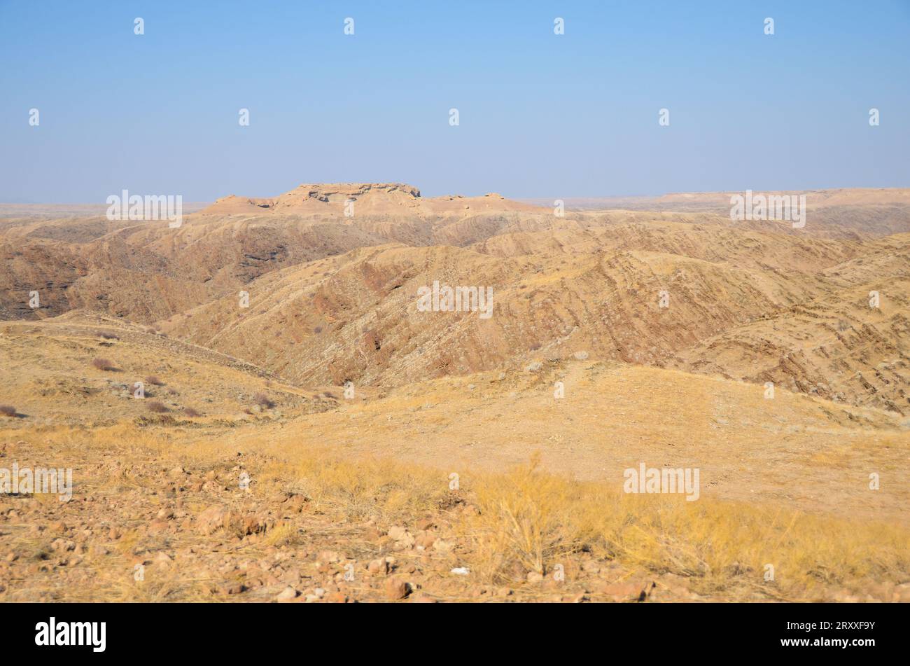 namib desert landscape, namibia Stock Photo - Alamy
