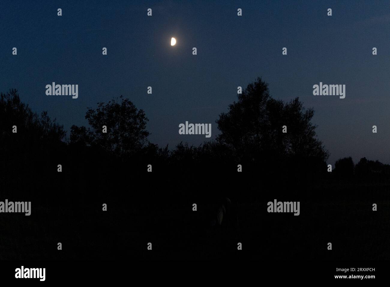 Moonlit moonlight hi-res stock photography and images - Alamy