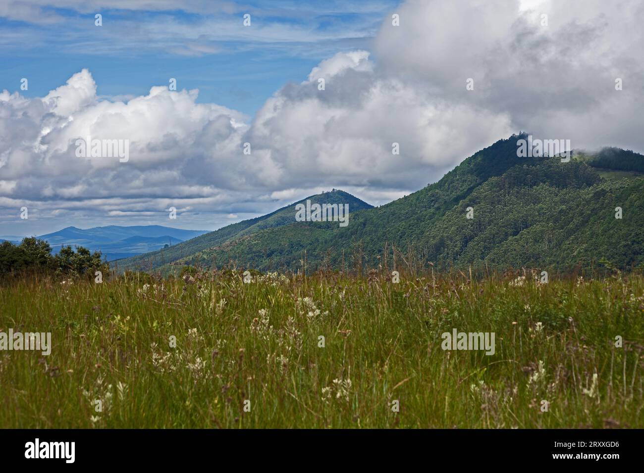 Cloudy Magoebaskloof landscape 14177 Stock Photo - Alamy