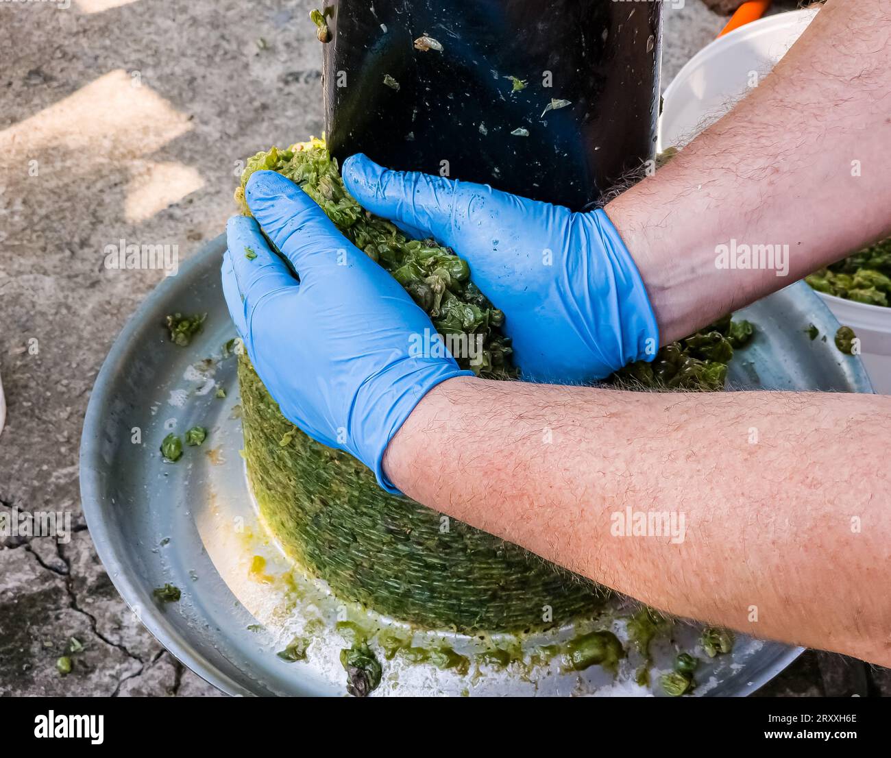 Mechanical pressure grapes hi-res stock photography and images - Alamy