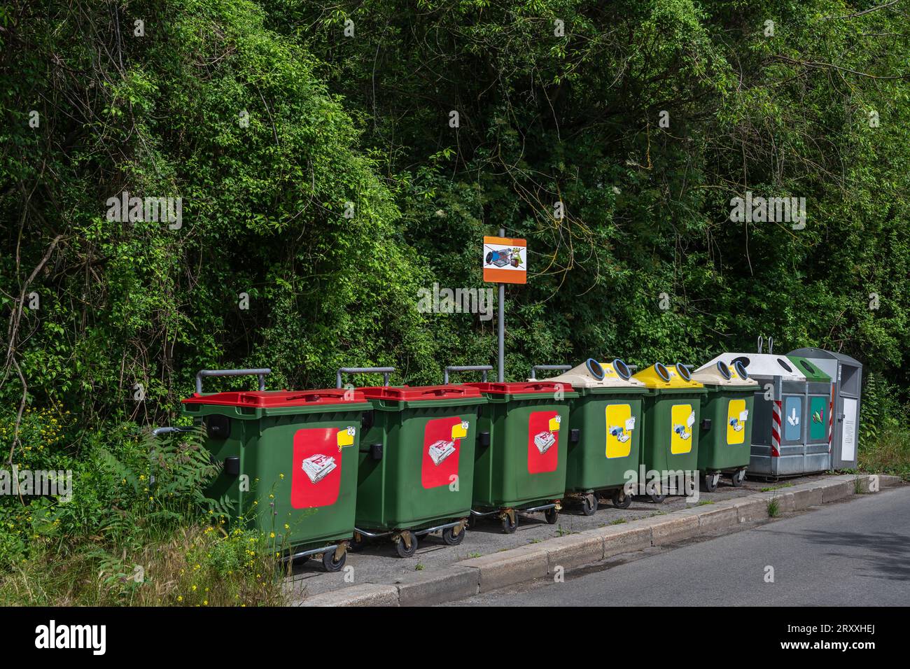 Waste Separation In Different Collection Containers In Front Of Forest ...