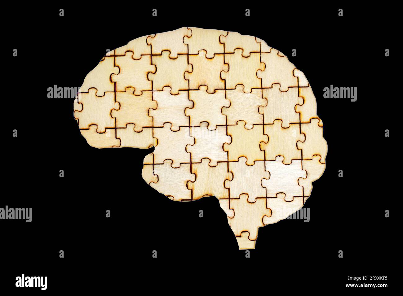 Close-up view of a human brain made from interlocking wooden puzzle ...