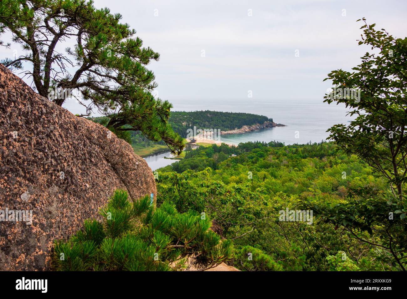 Views hiking beehive loop in Acadia National park. Greenery, rocky ...