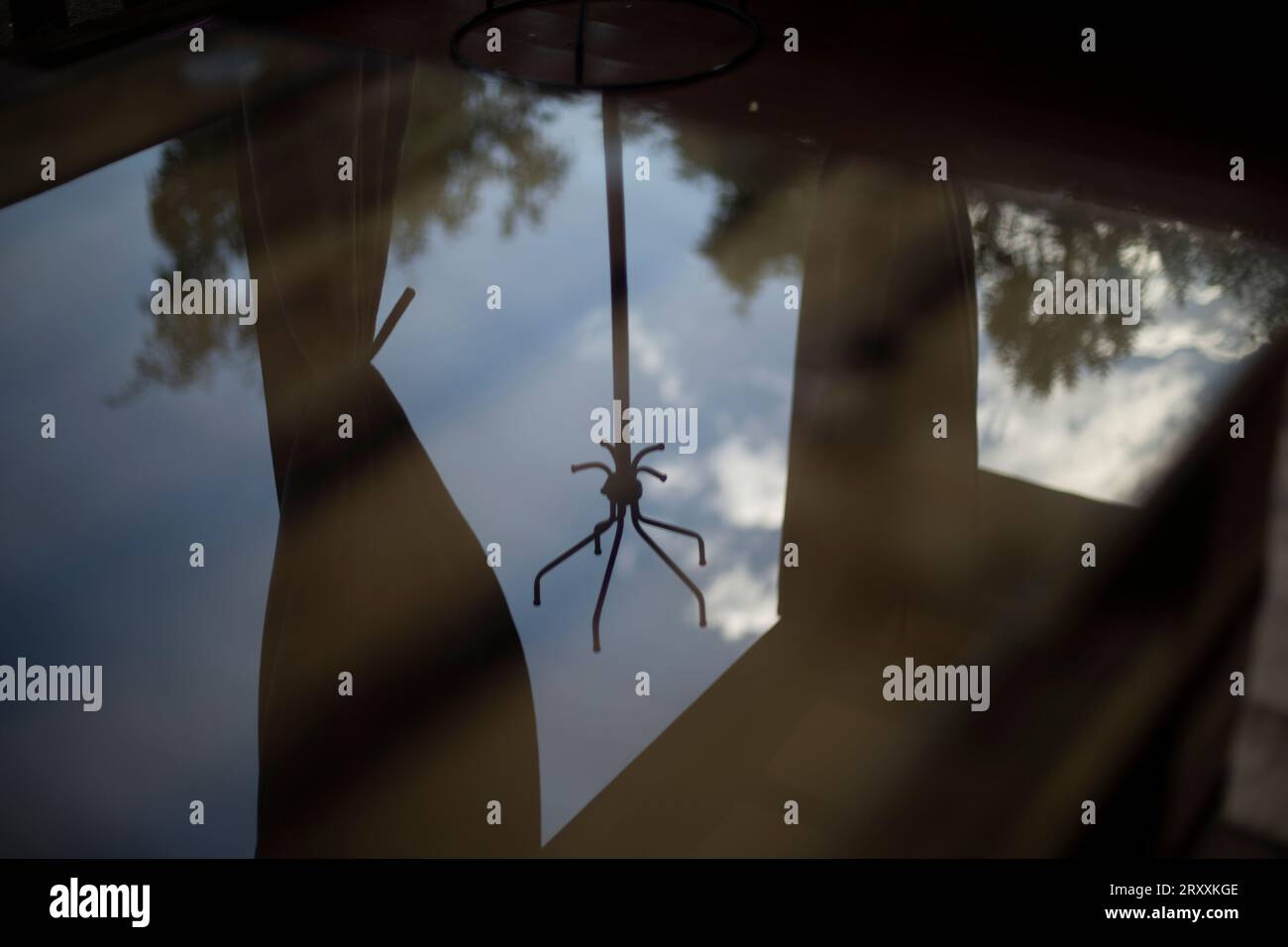Glass table reflection reflect hi-res stock photography and images - Alamy