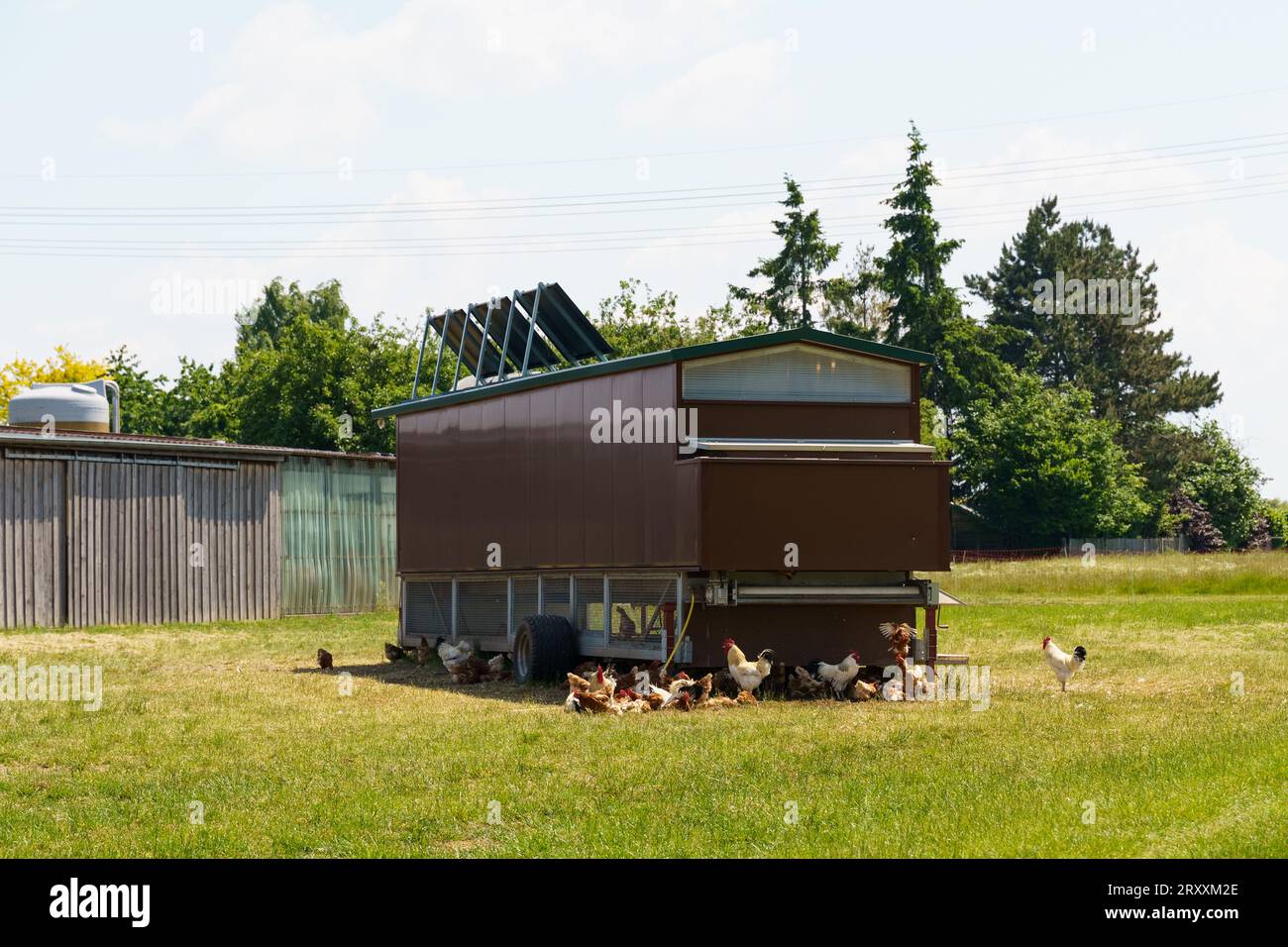 Mobile farm for growing laying hens. Mobile poultry farming Stock Photo ...