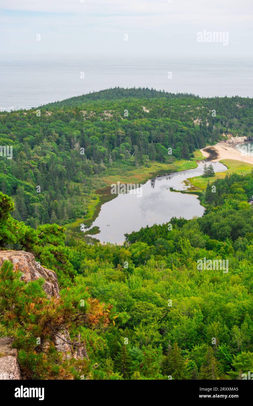 Views hiking beehive loop in Acadia National park. Greenery, rocky ...