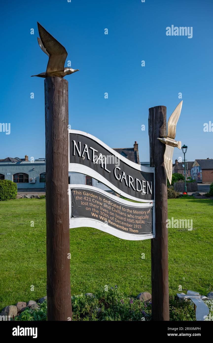 Vertical shot flying wood hi-res stock photography and images - Alamy