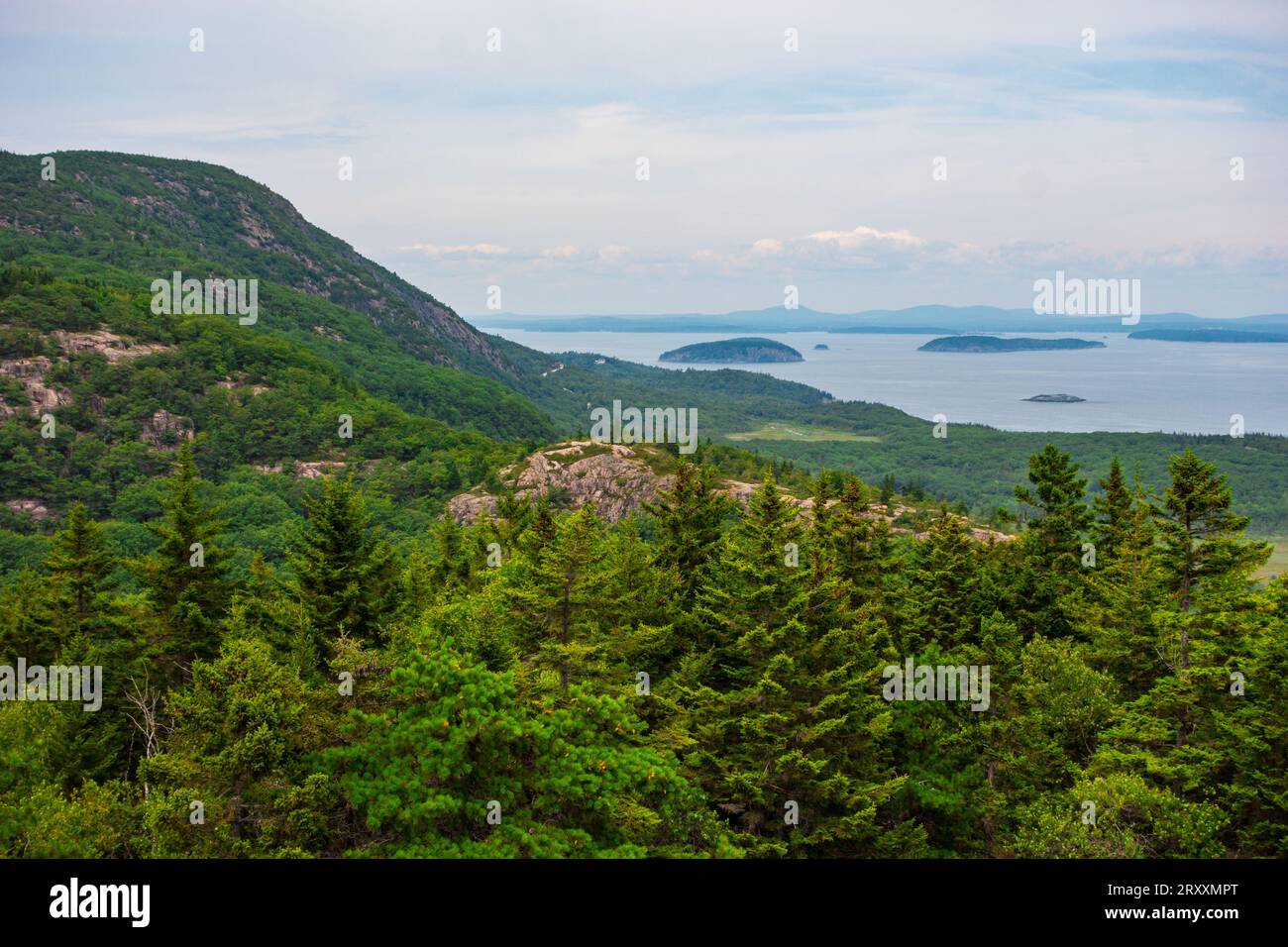Views hiking beehive loop in Acadia National park. Greenery, rocky ...