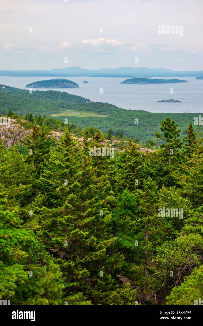 Views hiking beehive loop in Acadia National park. Greenery, rocky ...