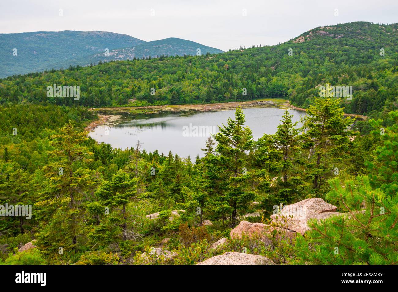 Views hiking beehive loop in Acadia National park. Greenery, rocky ...