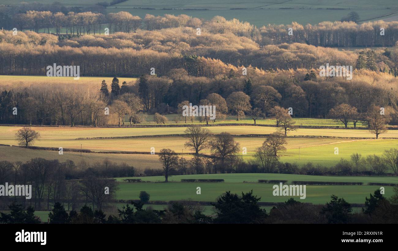A view across South Shropshire towards Ludlow from View Edge, Onibury ...