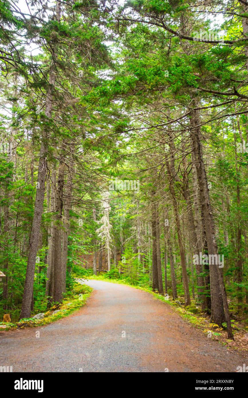 Views of plants and nature on the Carriage Trail hiking path in an ...