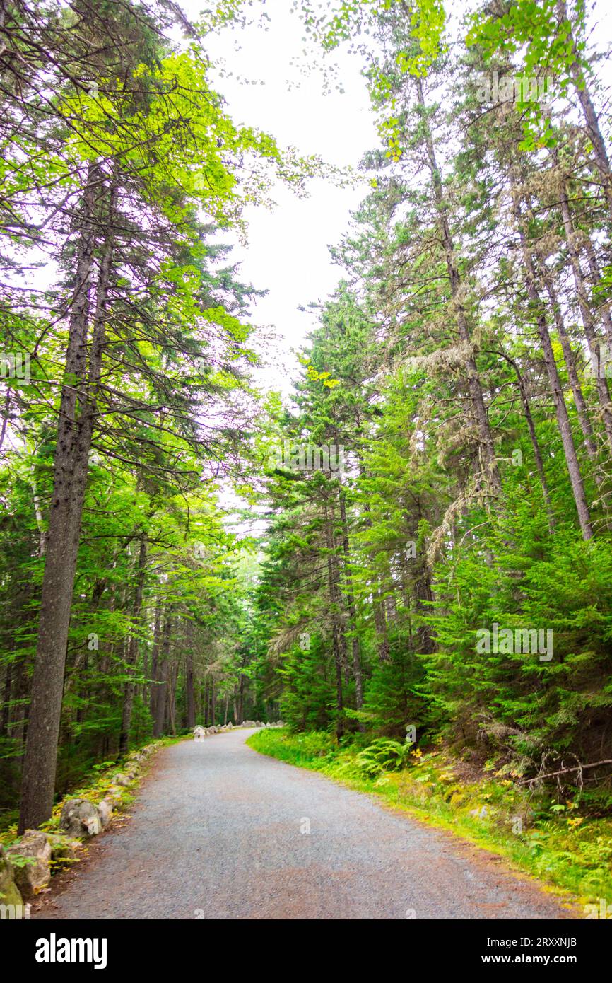 Views of plants and nature on the Carriage Trail hiking path in an ...