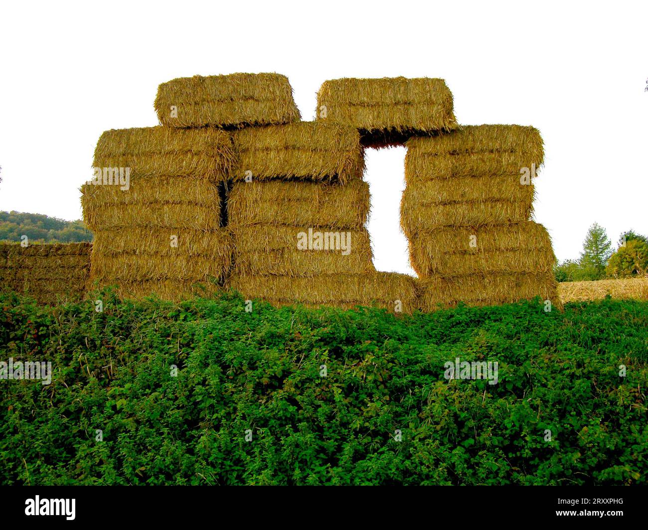 Square hay bales Stock Photo - Alamy