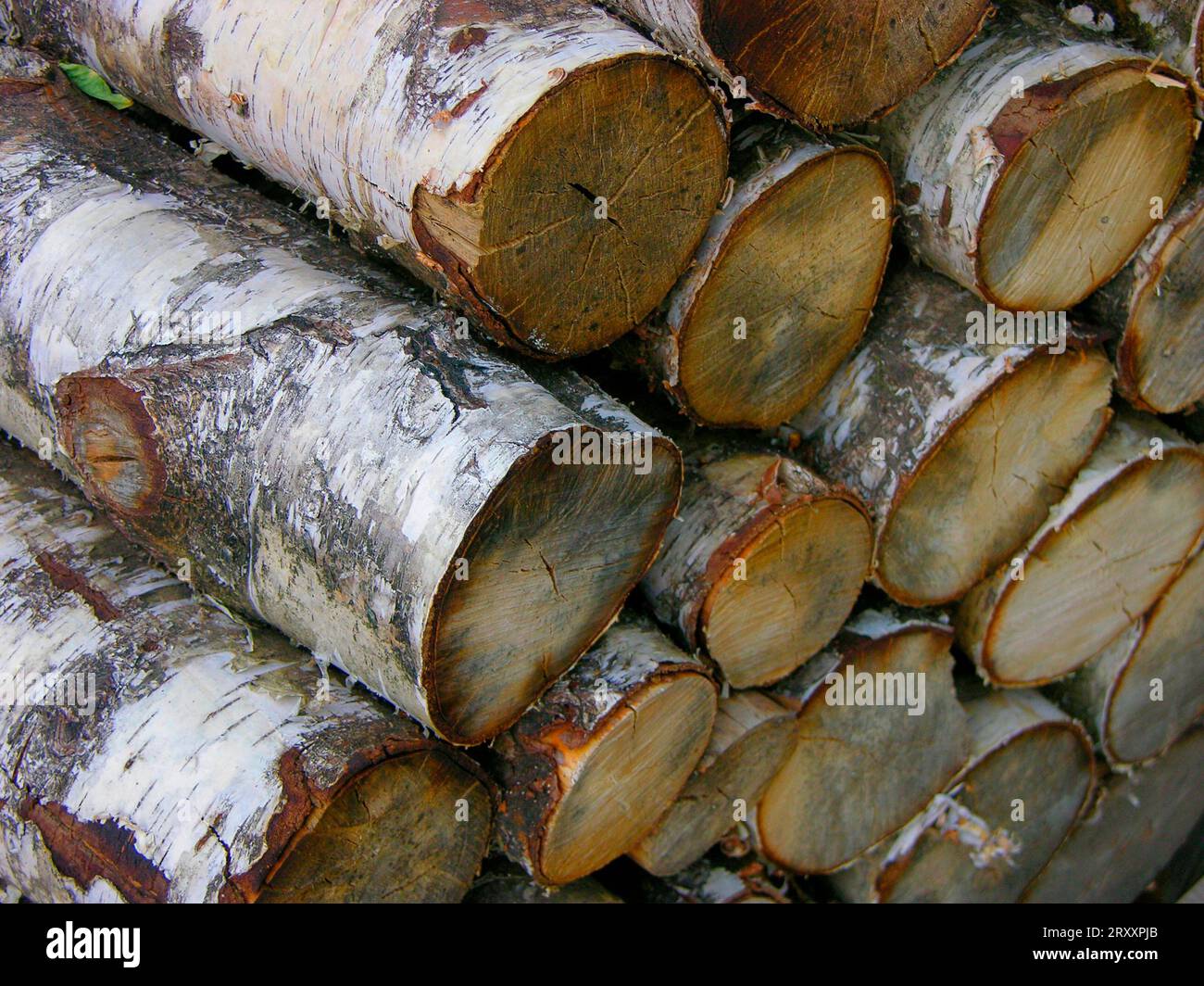 Wood pile, birch wood Wood store Stock Photo - Alamy