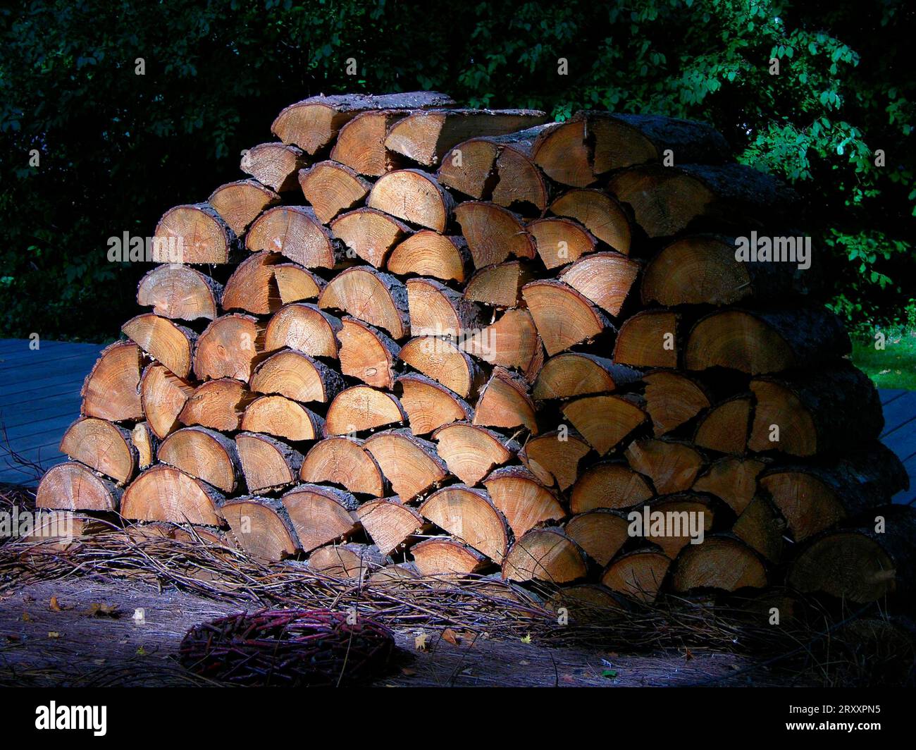 Wood pile, birch wood Wood store Stock Photo - Alamy