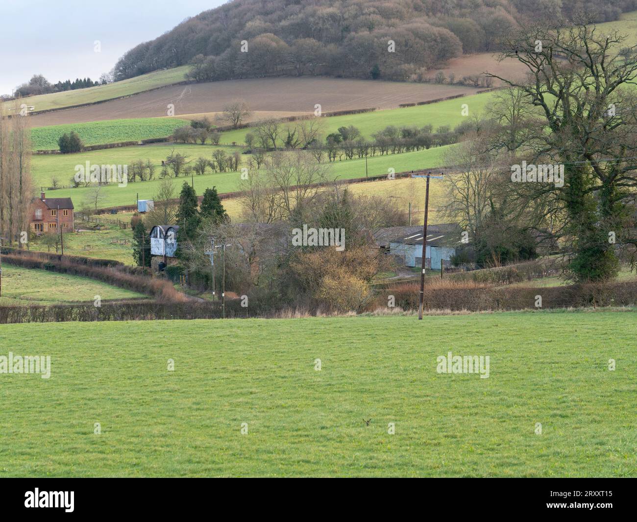Farmland in the Clun Valley near Craven Arms, Shropshire, UK Stock ...