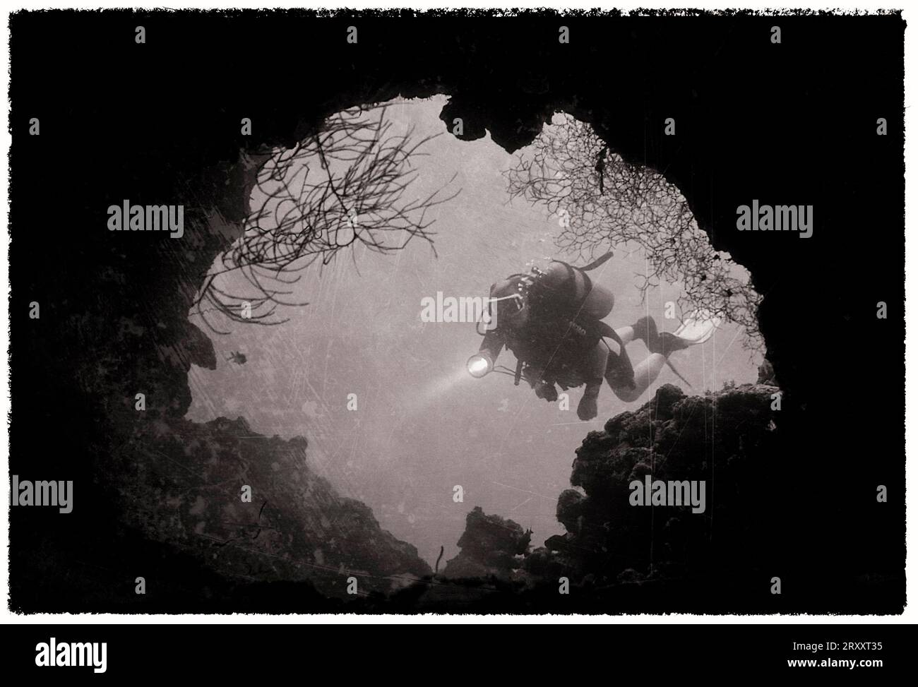 Coral reef sea cave Cut Out Stock Images & Pictures - Alamy