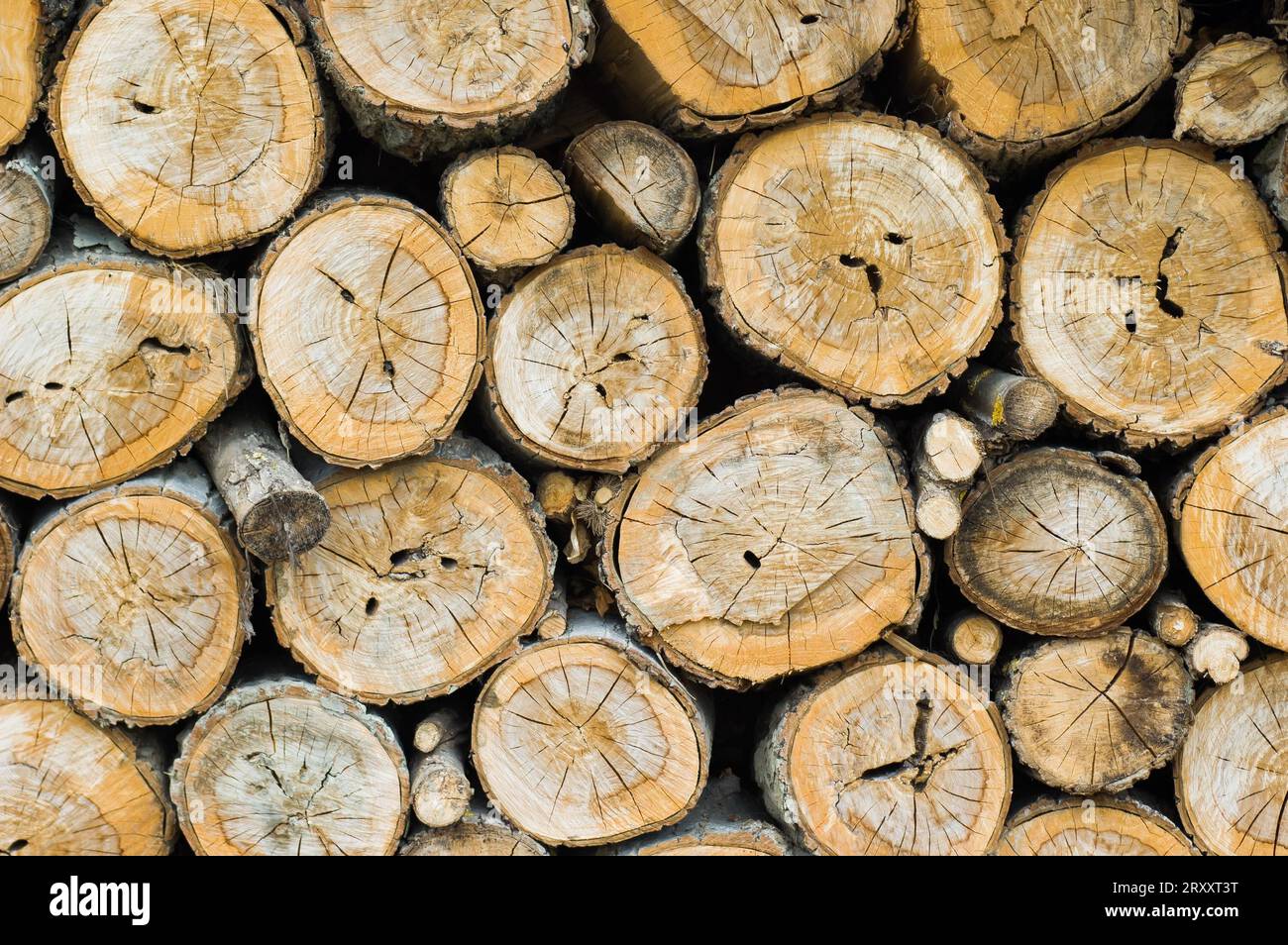 Pile of wood log. Interesting texture for background Stock Photo - Alamy