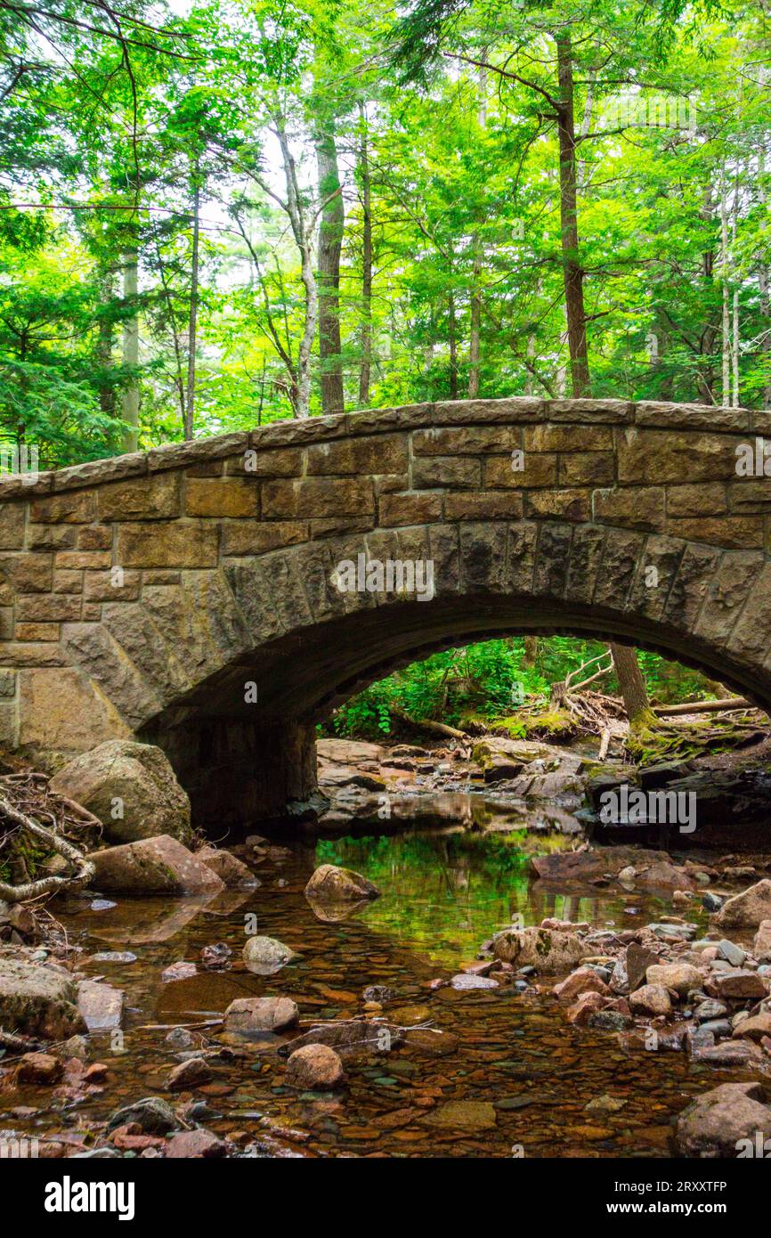 A stone arched bridge in the forest over a creek on the carriage trails in Acadia National Park ...