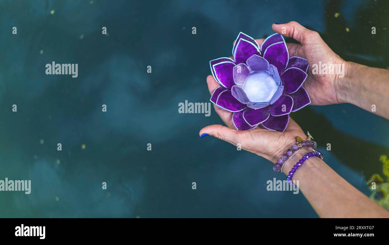 Hands holding lotus flower hi-res stock photography and images - Alamy