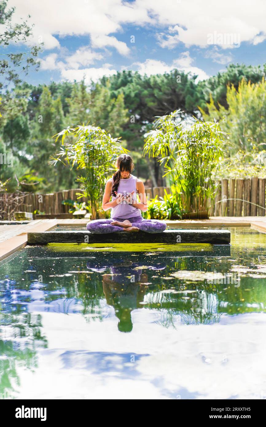 Lotus tree hi-res stock photography and images - Alamy