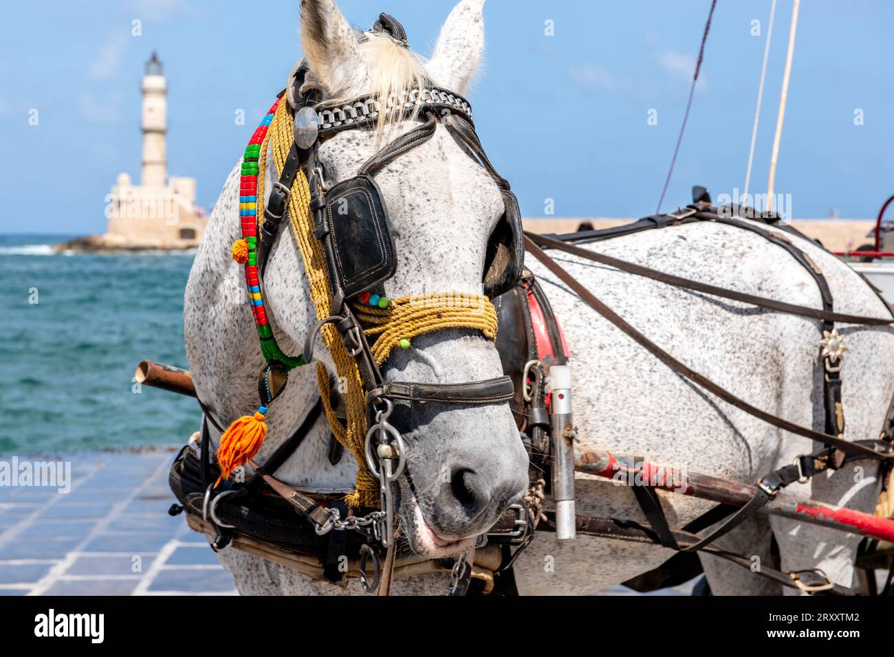 Horse drawn carriage tour chania town crete hi-res stock photography ...