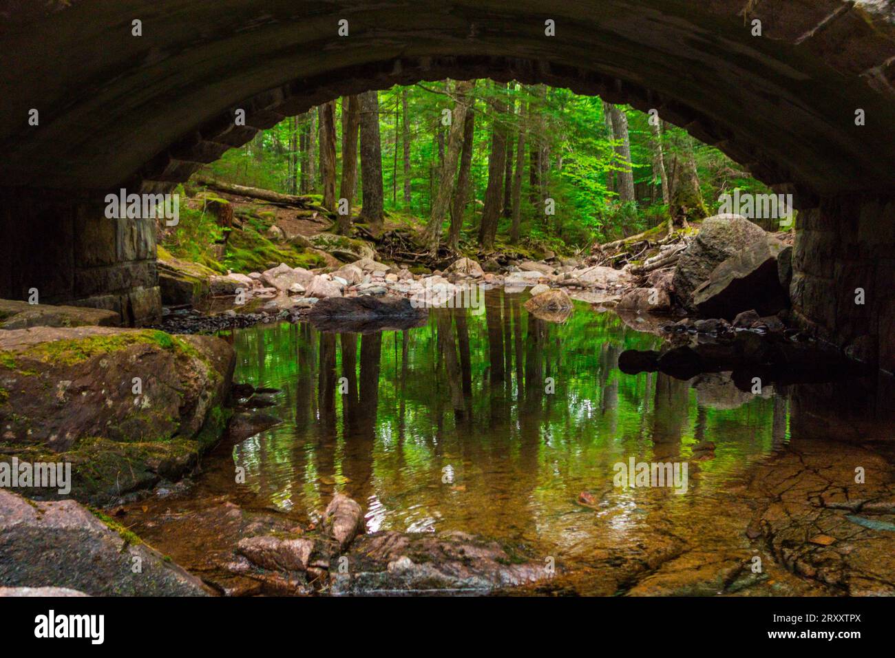 A stone arched bridge in the forest over a creek on the carriage trails ...