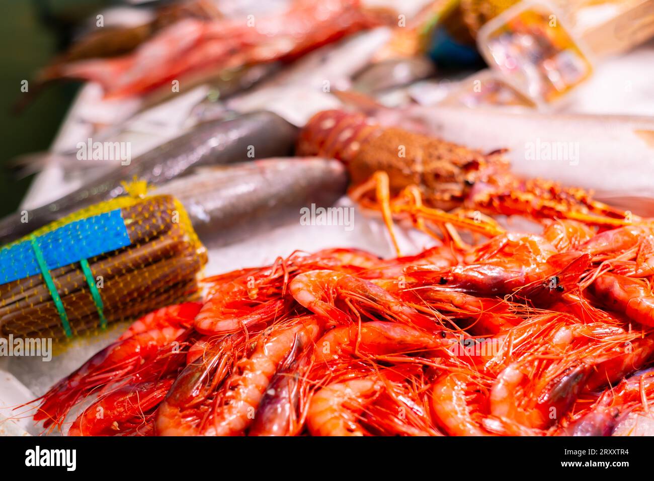 Fresh and variety of seafood and fish on a stall at a fish stand in a ...
