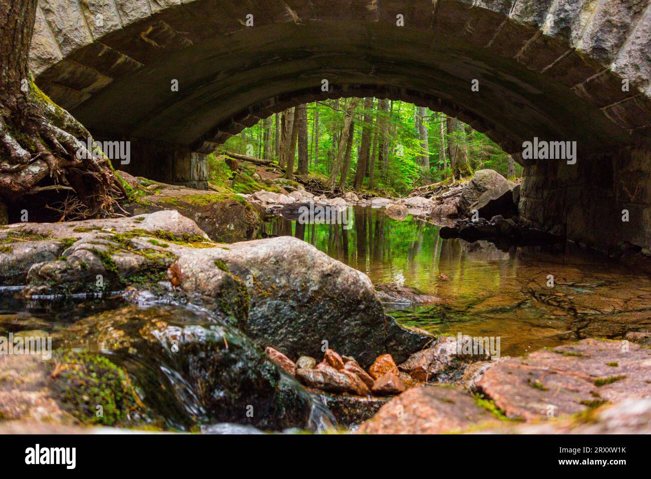 A stone arched bridge in the forest over a creek on the carriage trails ...