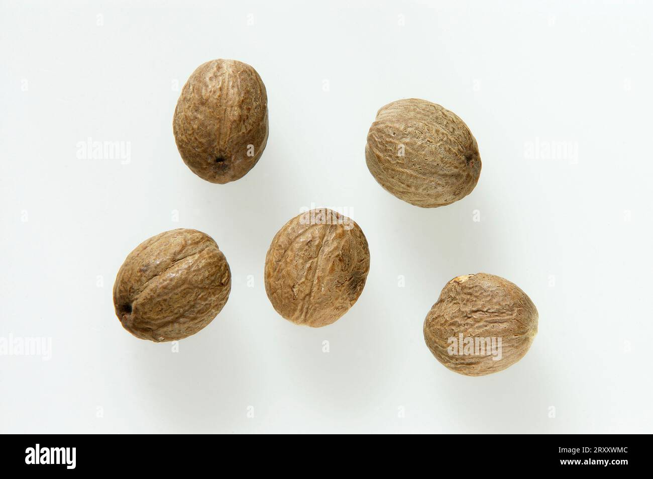 Nutmegs ( Myristica fragrans Stock Photo - Alamy