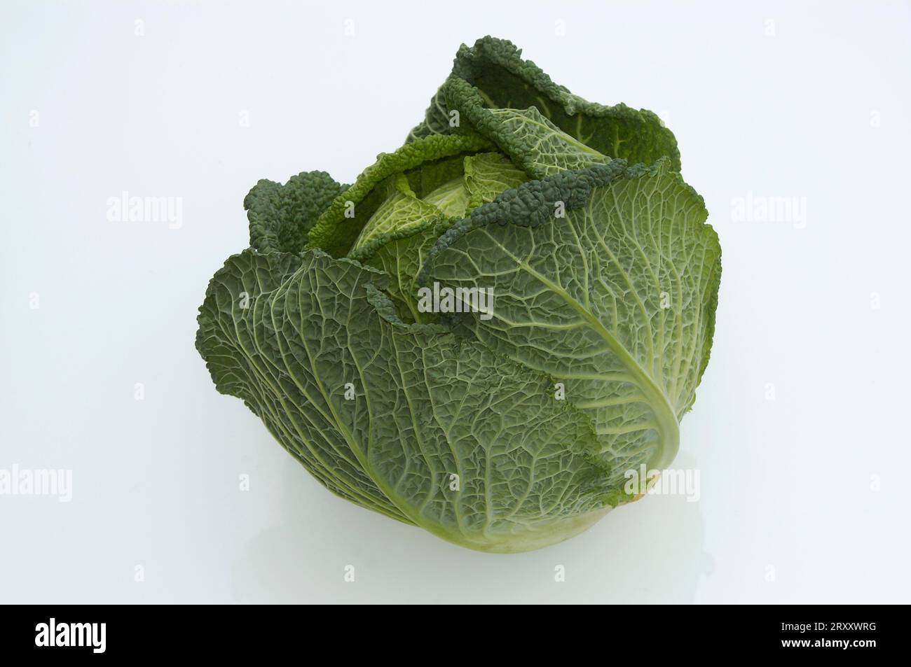 Savoy vegetable cabbage (Brassica oleracea var. sabauda), Savoy cabbage ...
